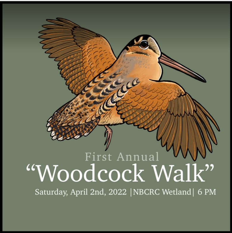 First Annual Woodcock Walk around the Northern Blair Co. Rec. Center ...