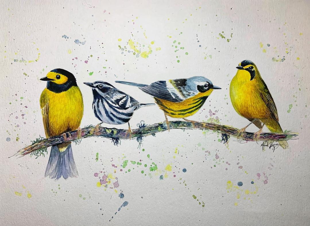 Mother’s Day Bird Walk at Blair County Game Fish and Forestry ...