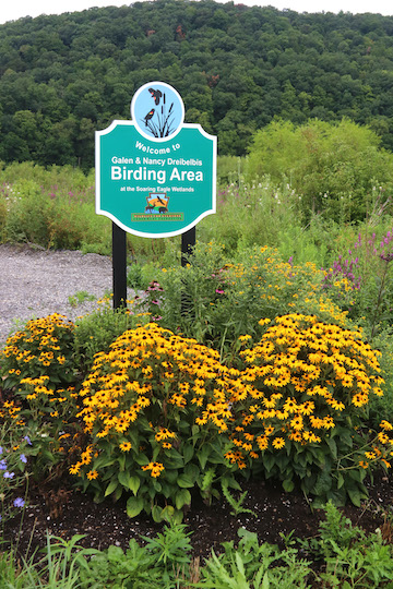 Dreibelbus and Soaring Eagle Wetlands Walk – Juniata Valley Audubon Society