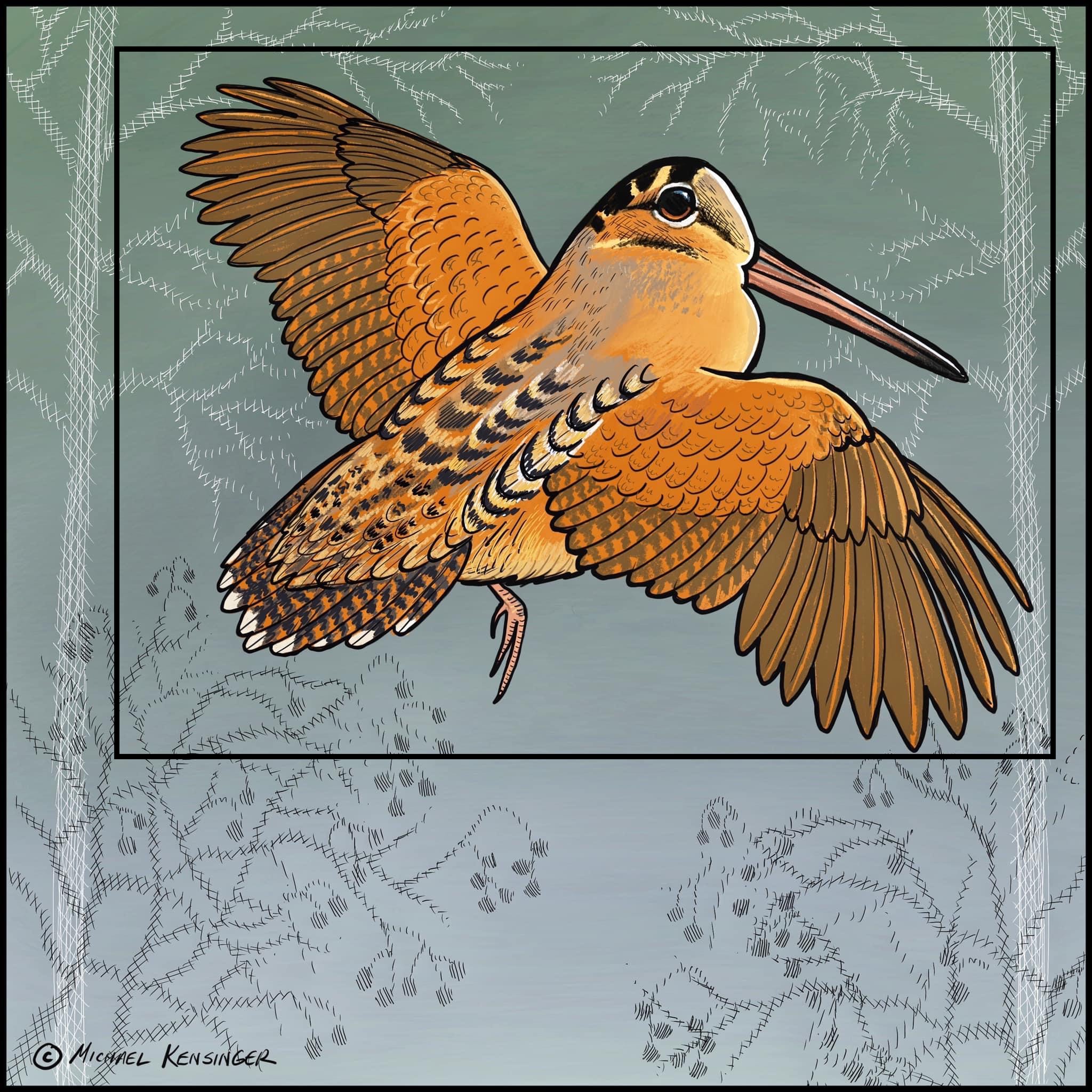 Woodcock Walk at Canoe Creek – Juniata Valley Audubon Society