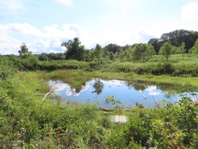 Dry Hollow Walk with Jim Julian, Mark Potter, and Angie Spagnoli ...