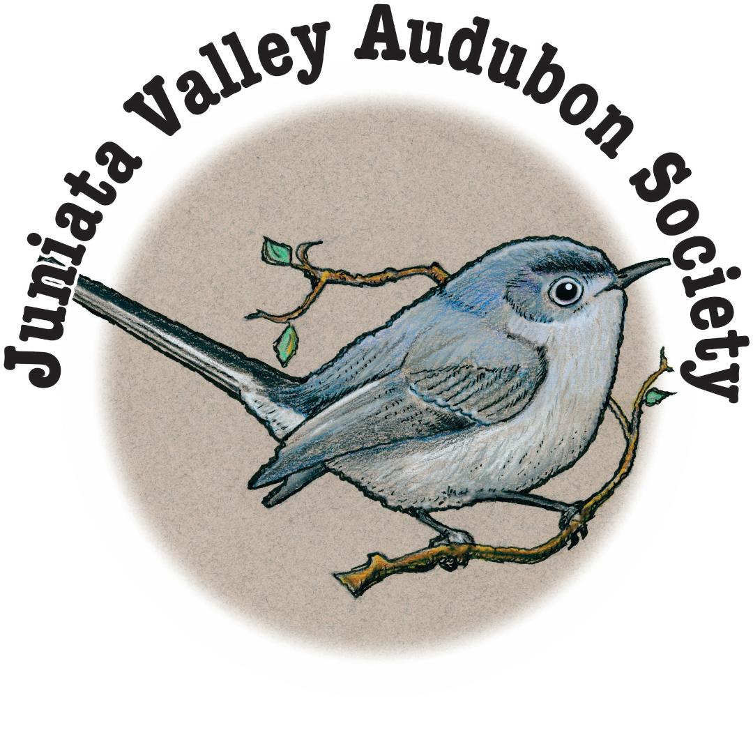 JVAS logo – right – Juniata Valley Audubon Society